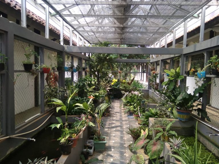 SMAN 13 Semarang Progresif